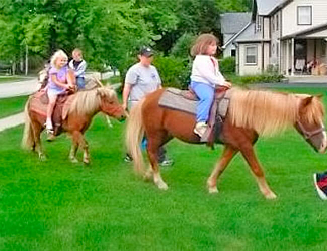 Ponies Rides - Miami Party Rentals